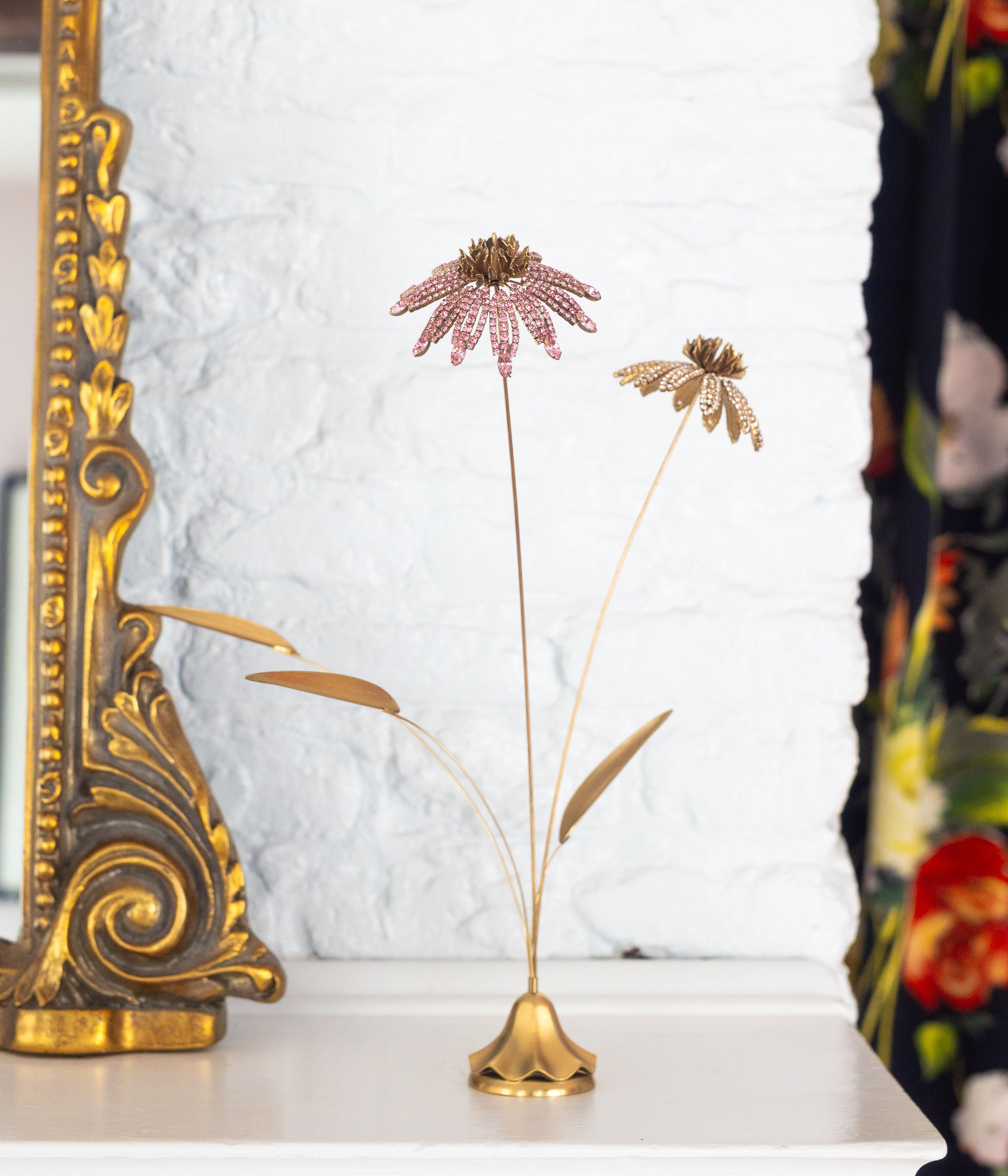 Cone Flower Specimen