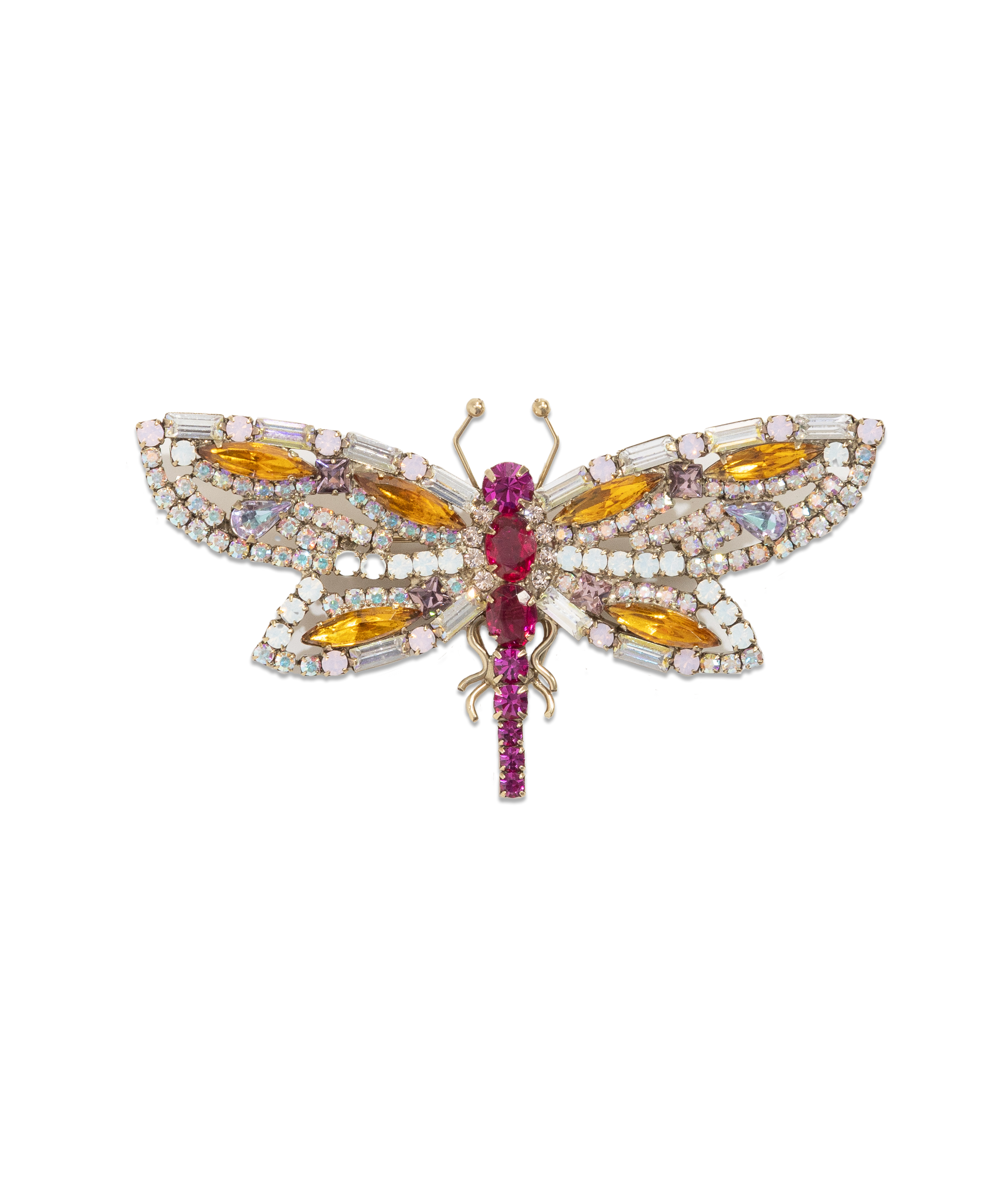 Ruby the Radiant Dragonfly