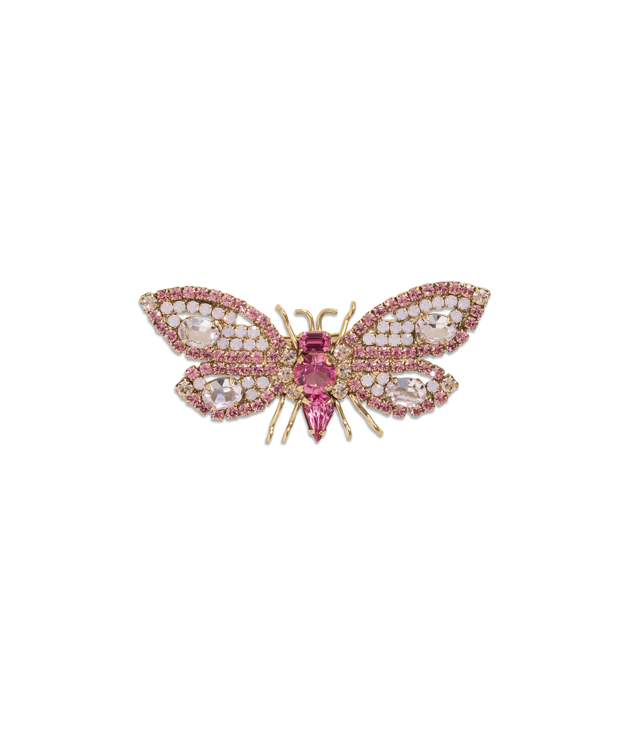 Rosie the Velvetwing Bee